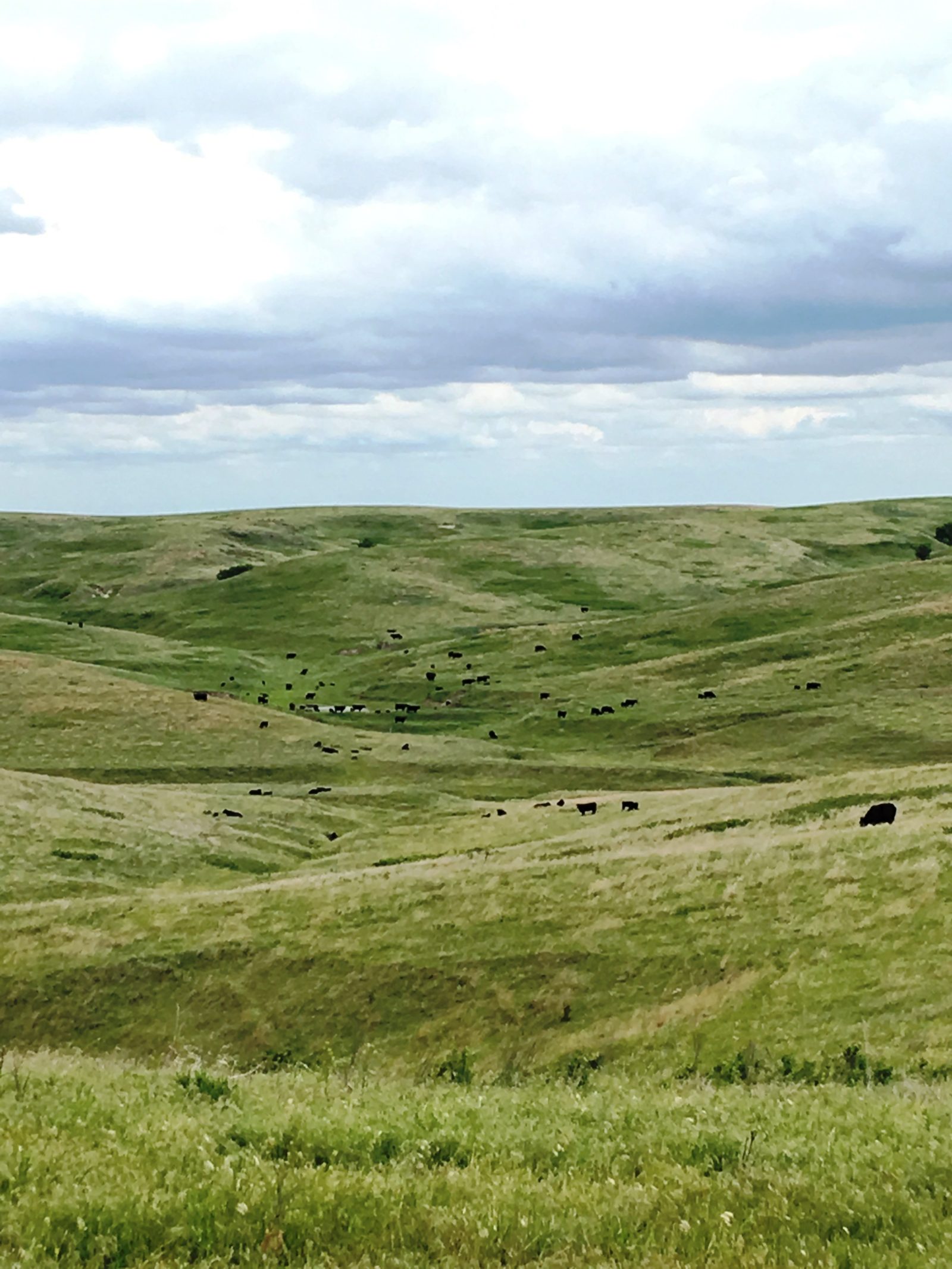 Photo Gallery – This is KEY Ranch
